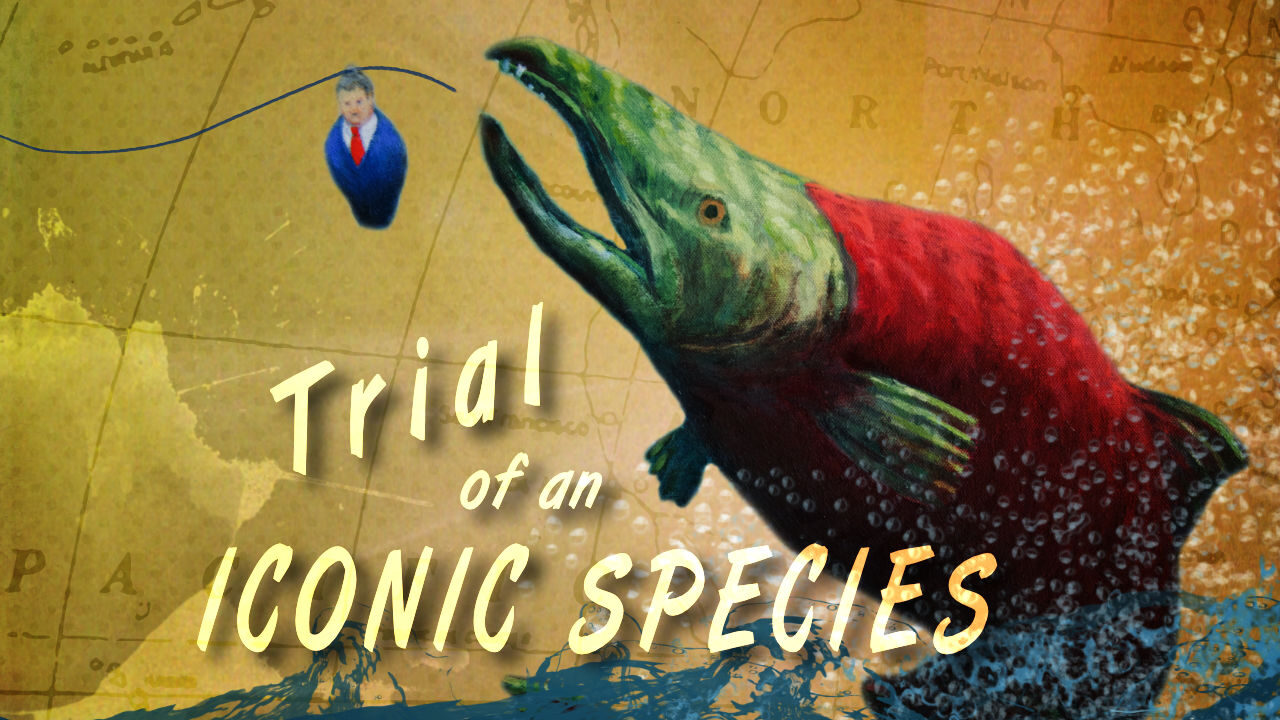 TRIAL OF AN ICONIC SPECIES - Juggernaut Pictures